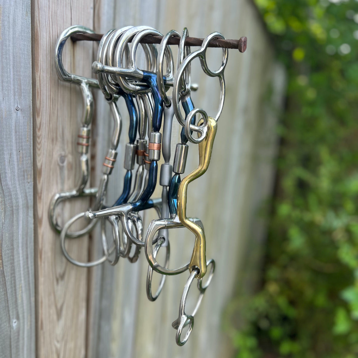 Custom Bits | Agador's Bits