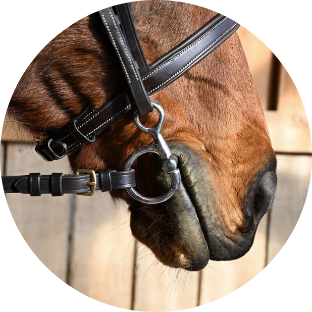 CalmBlue Baucher Snaffle | Agador's