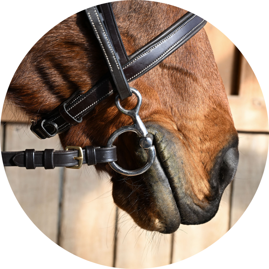 CalmBlue Baucher Snaffle | Agador's